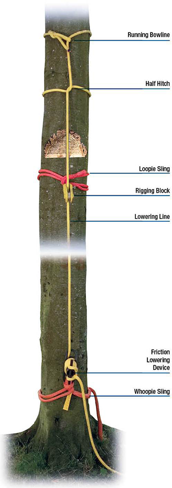 Technical Aspects of Rigging